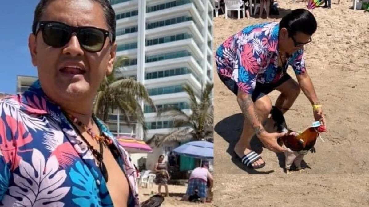 ¿Llevarías a tu gallo a la playa? Este chico sí lo hizo - Portal de ...
